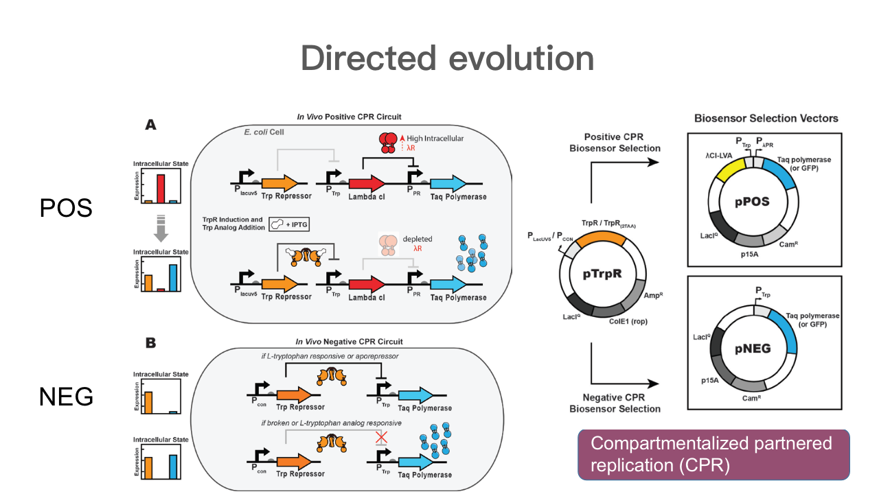 iDEC 2022 | SUSTech_Shenzhen